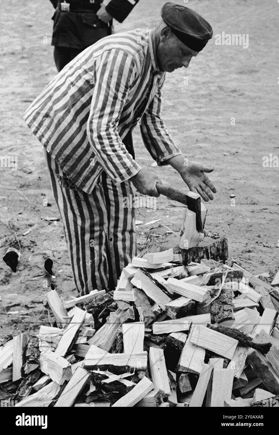 World war ii corpse hi-res stock photography and images - Alamy
