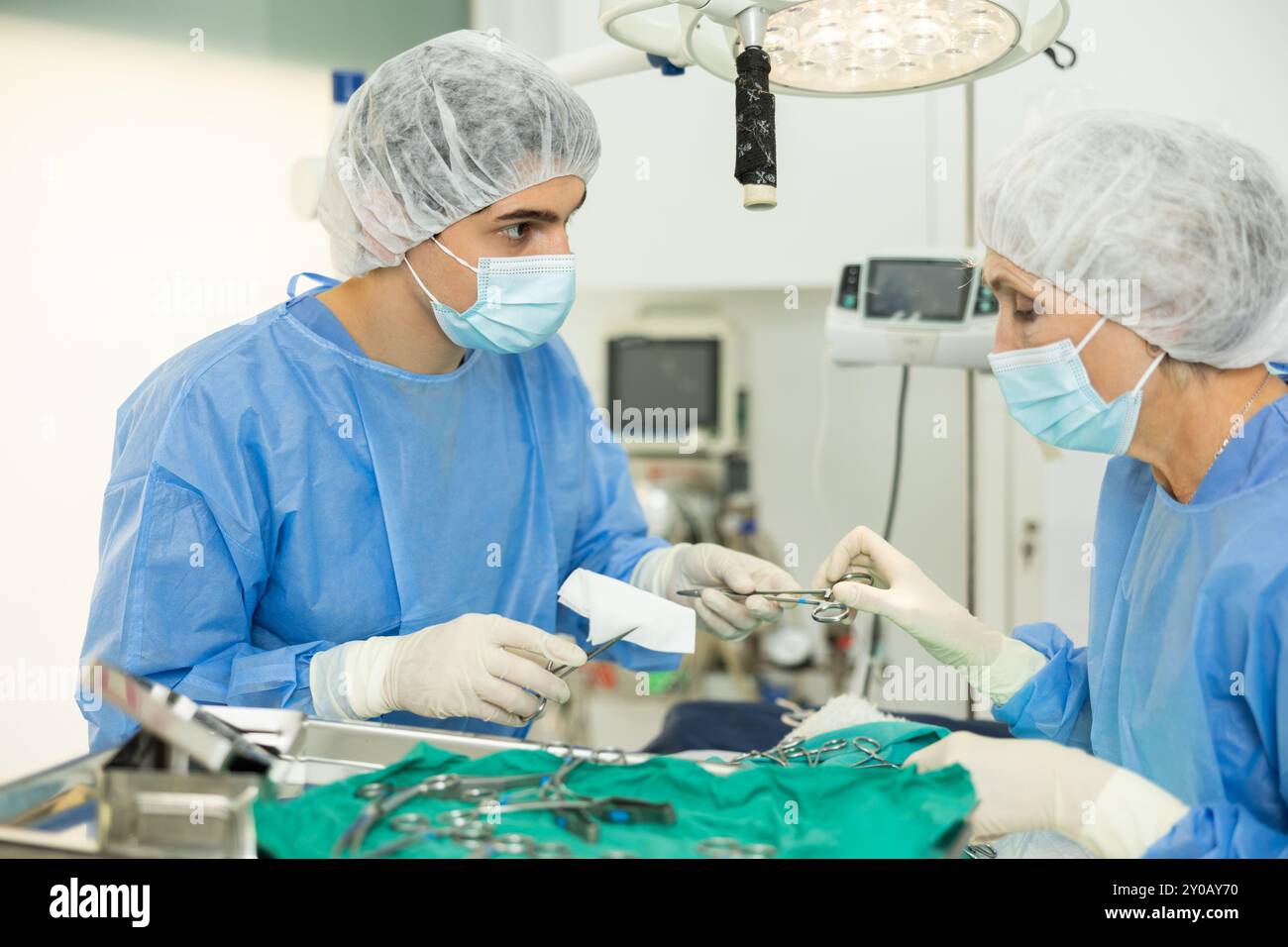 Young veterinarian assisting senior female colleague during surgery at ...