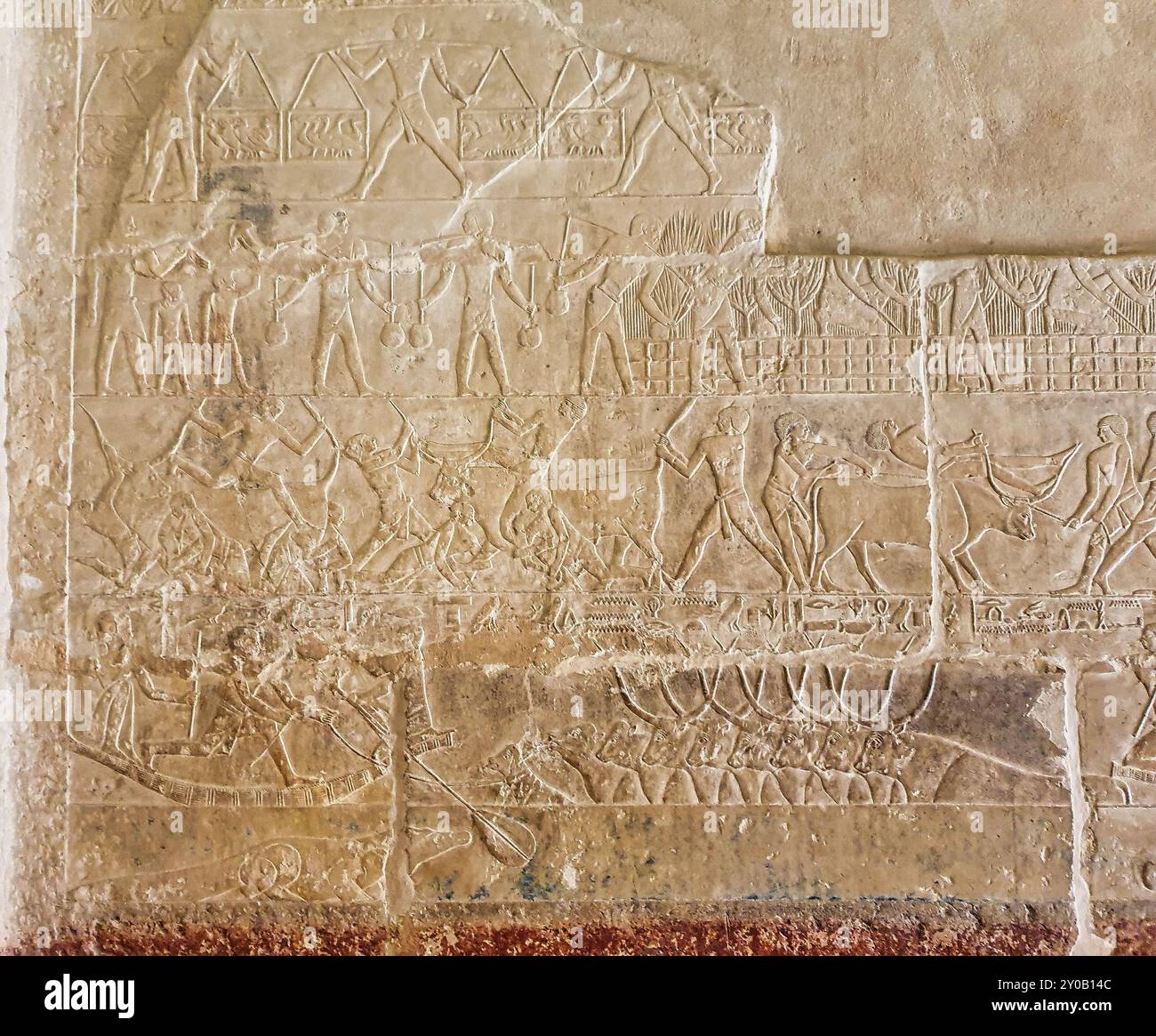 Exquisite wall reliefs of cattle rearing,taming and herding scenes ...