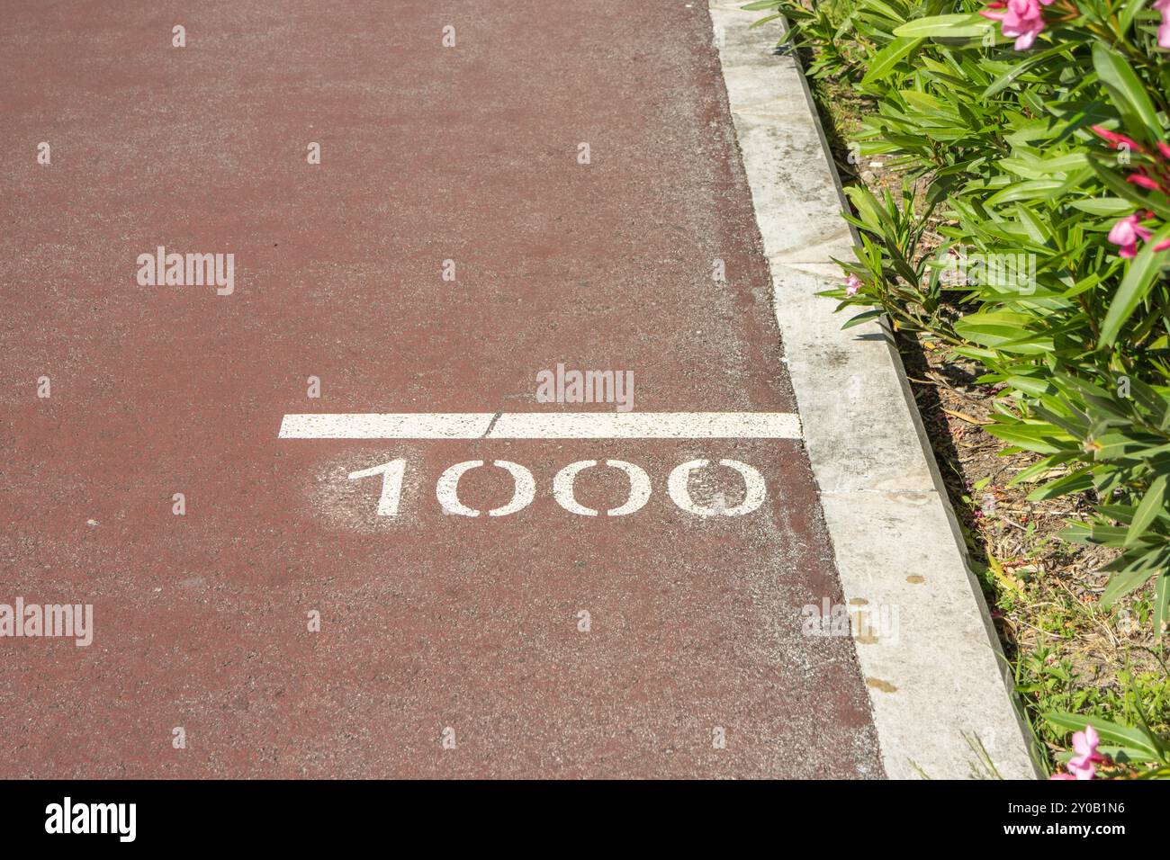 White lines marking the 1000 meter point of a red running track Stock ...