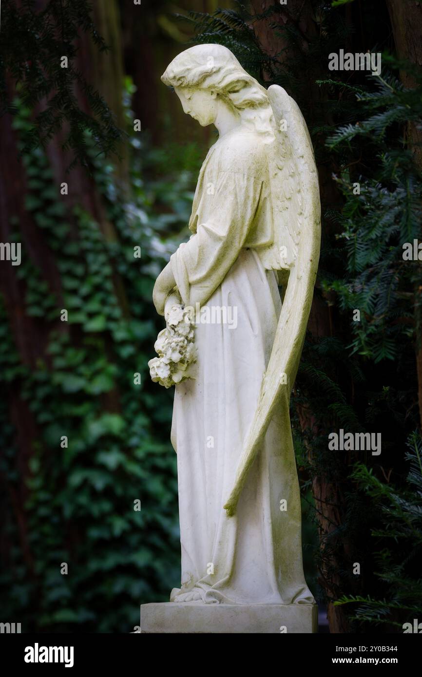 white angel sculpture in a cemetery in wooded surroundings looks sadly ...