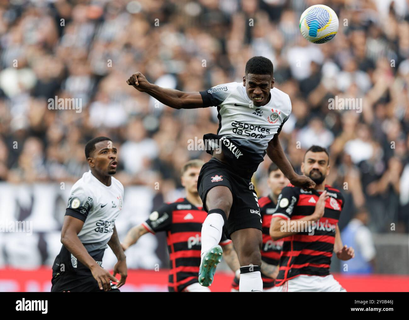 Sao Paulo, Brazil. 01th September, 2024. Soccer Football - Brazilian ...
