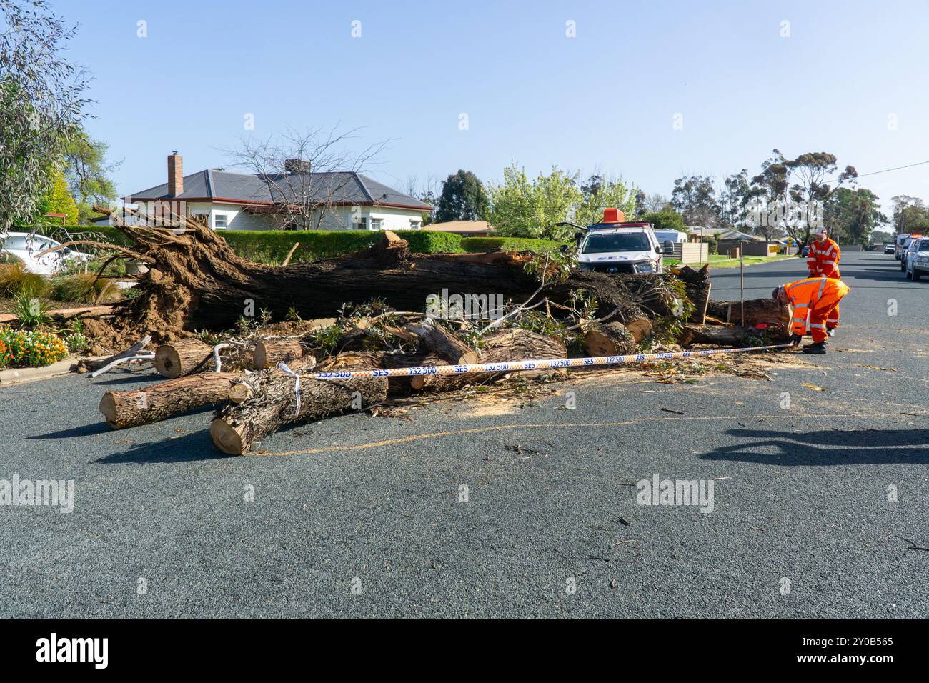 A cold front bringing gale force winds, bringing down trees and ...