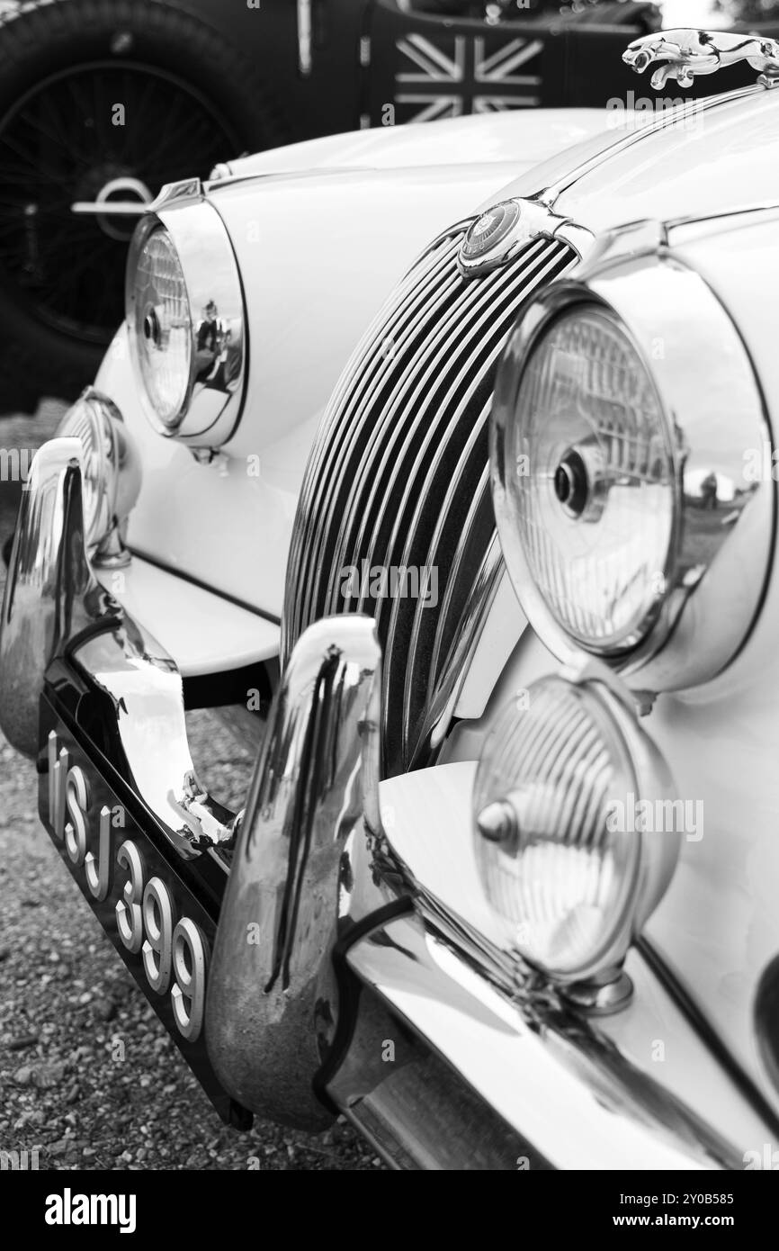 Nose classic Black and White Stock Photos & Images - Alamy