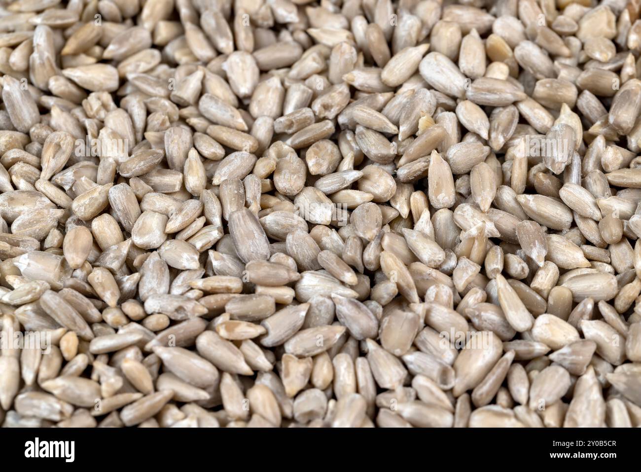 Sunflower seeds peeled from the black shell, scattered sunflower seeds ...