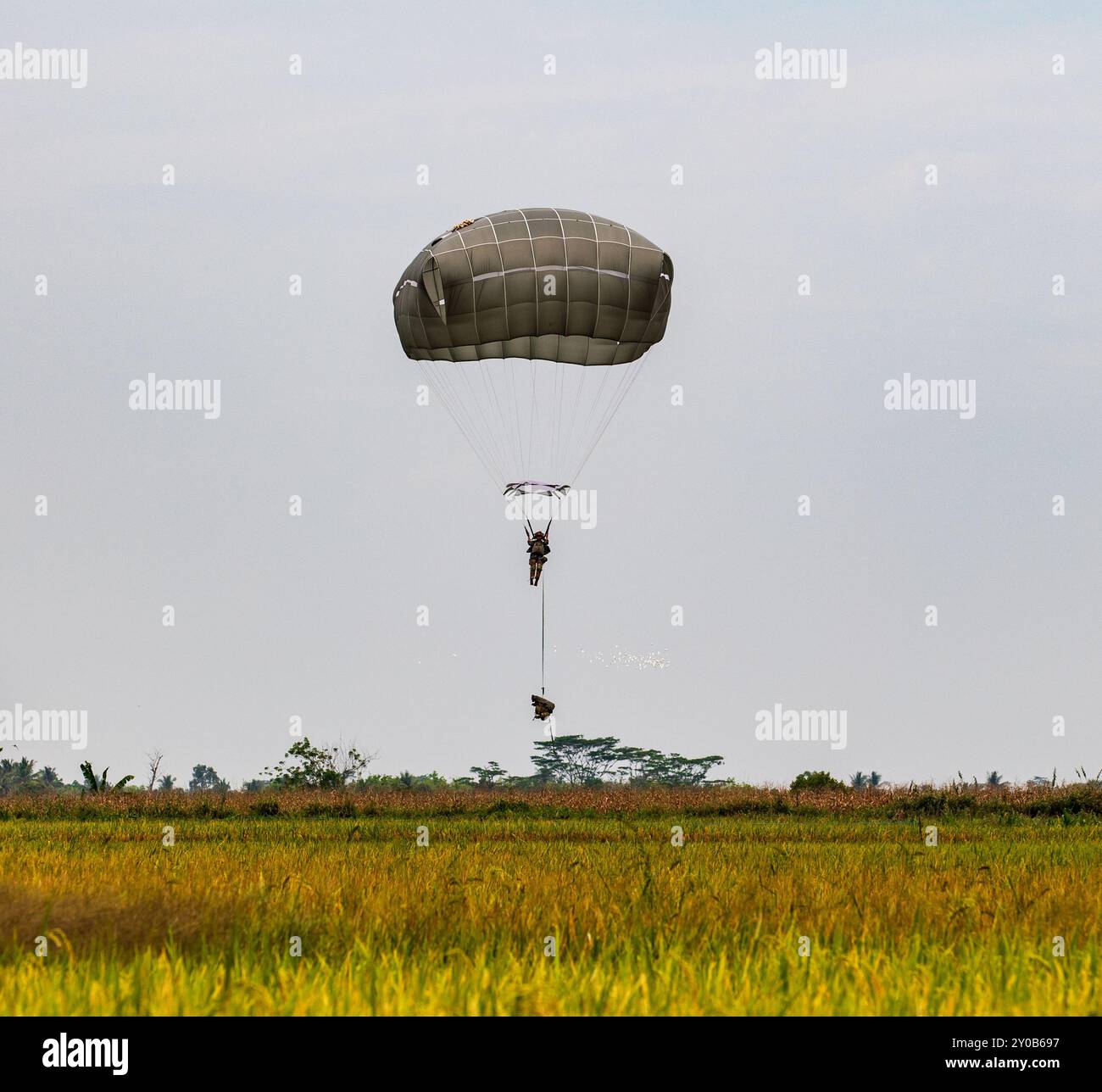 A U.S. Army soldier with Bison Troop, 1st Squadron, 40th Cavalry ...