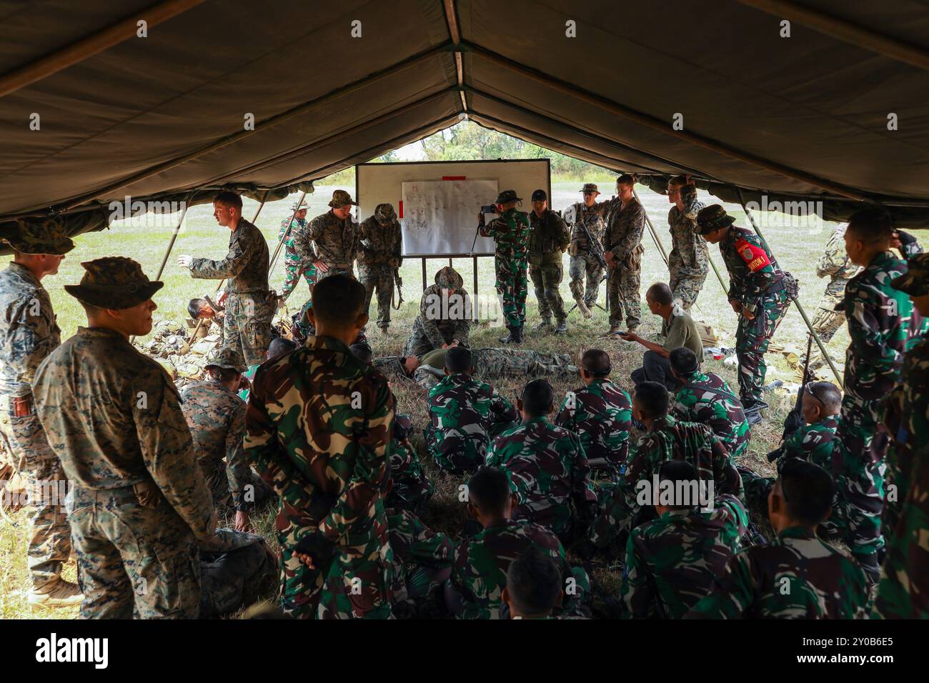 U.S. Navy Hospital Corpsman Carter Harmdierks, a corpsman with Alpha ...
