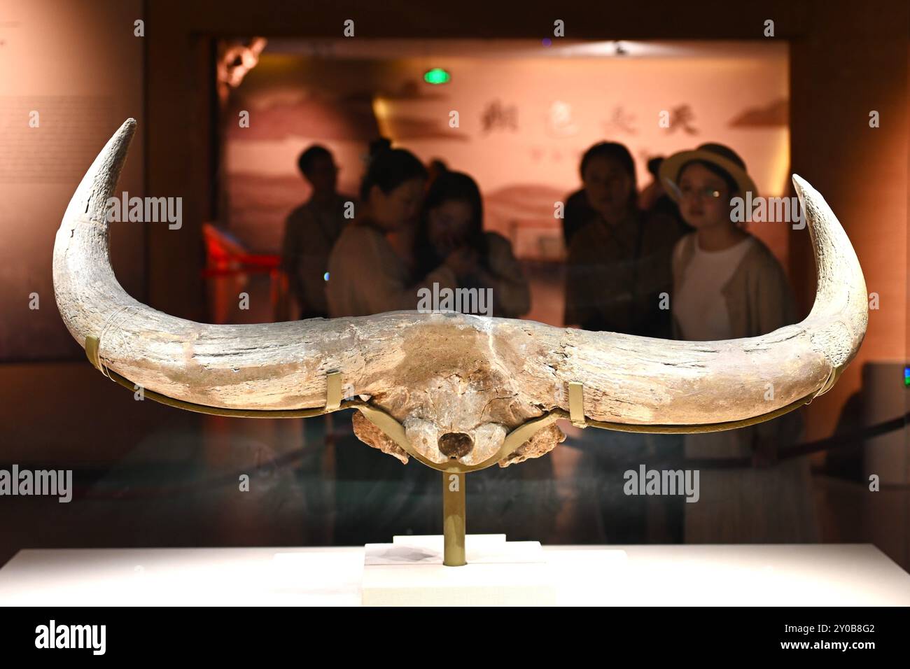 Beijing, China's Ningxia Hui Autonomous Region. 1st Sep, 2024. A fossil ...