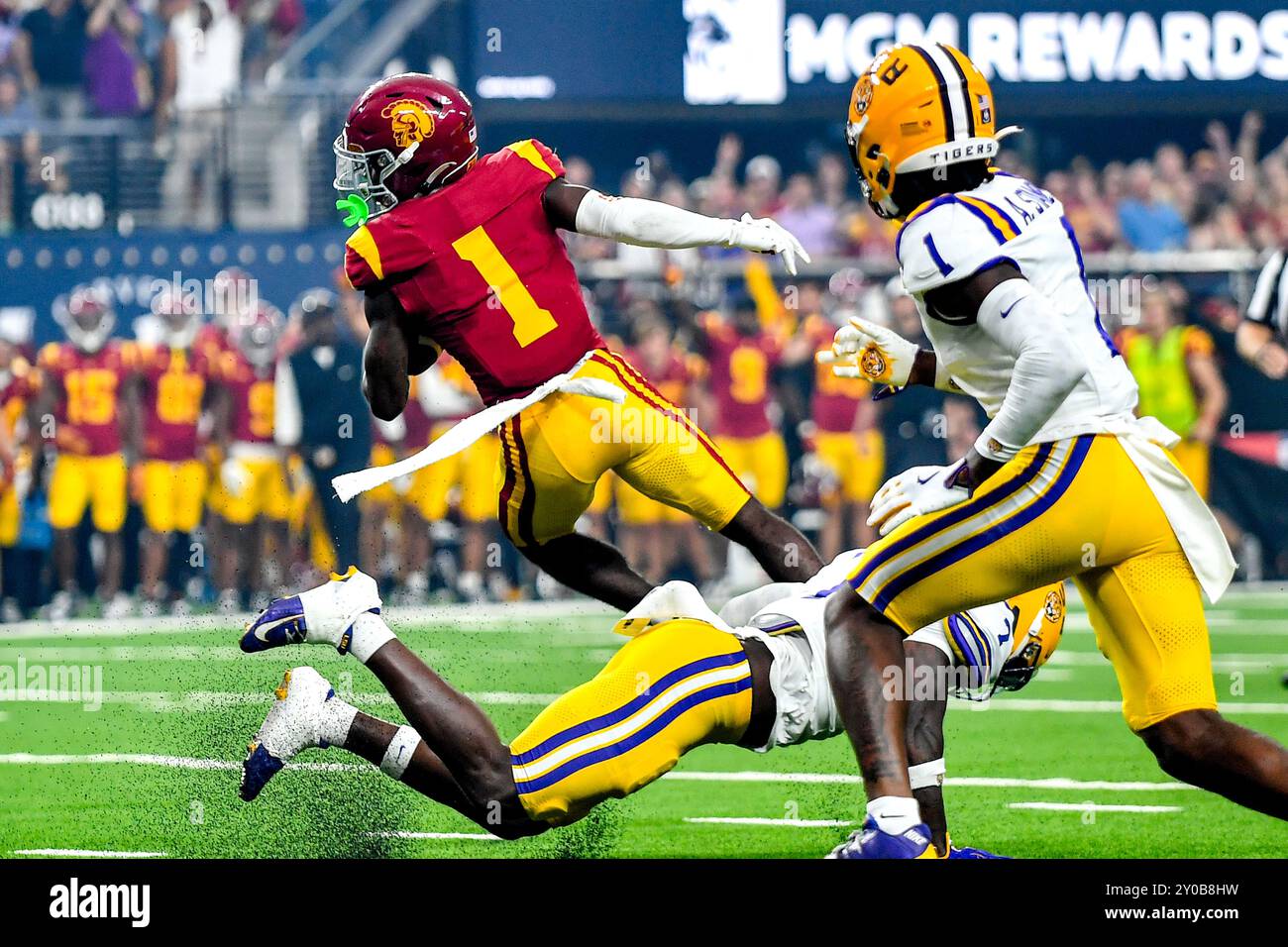 Modelo vs hi-res stock photography and images - Alamy