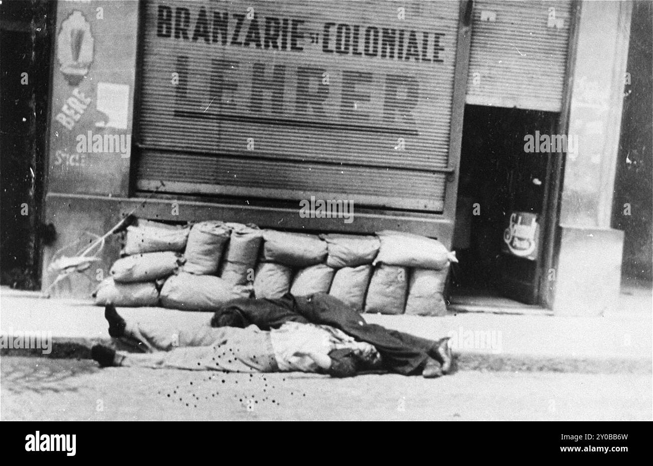 The bodies of Jews killed on Cuza Voda Street during the Iasi pogrom ...