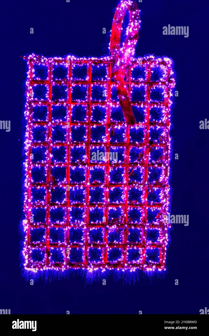 Strobilation hi-res stock photography and images - Alamy