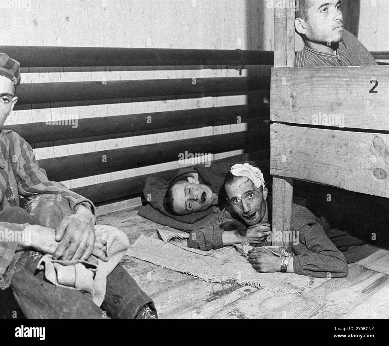 A group of malnourished Jewish survivors in the infirmary at Ebensee ...