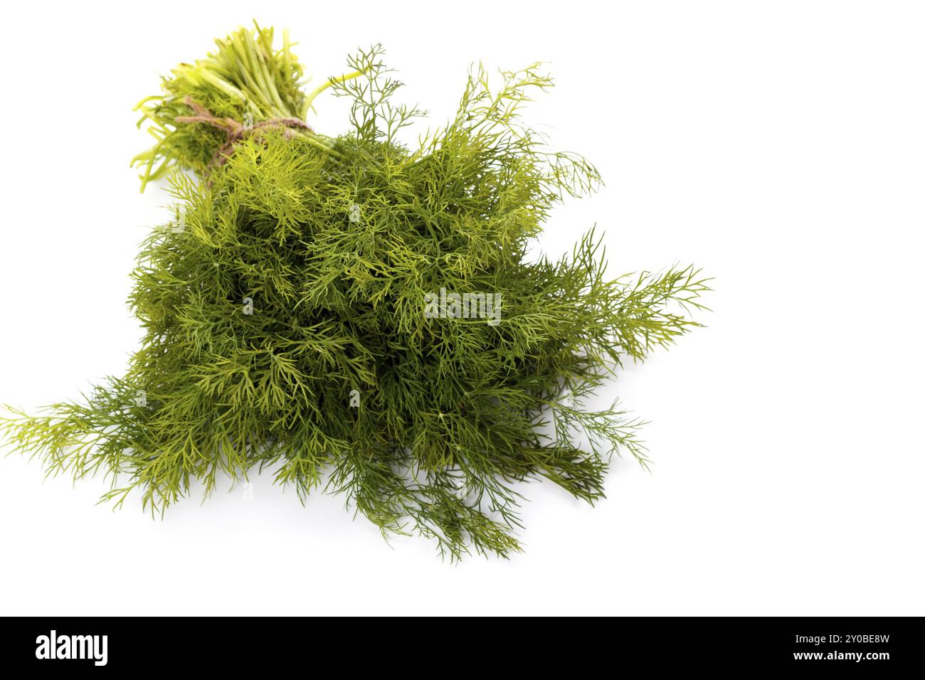 Bunch of fresh dill isolated on white background Stock Photo - Alamy