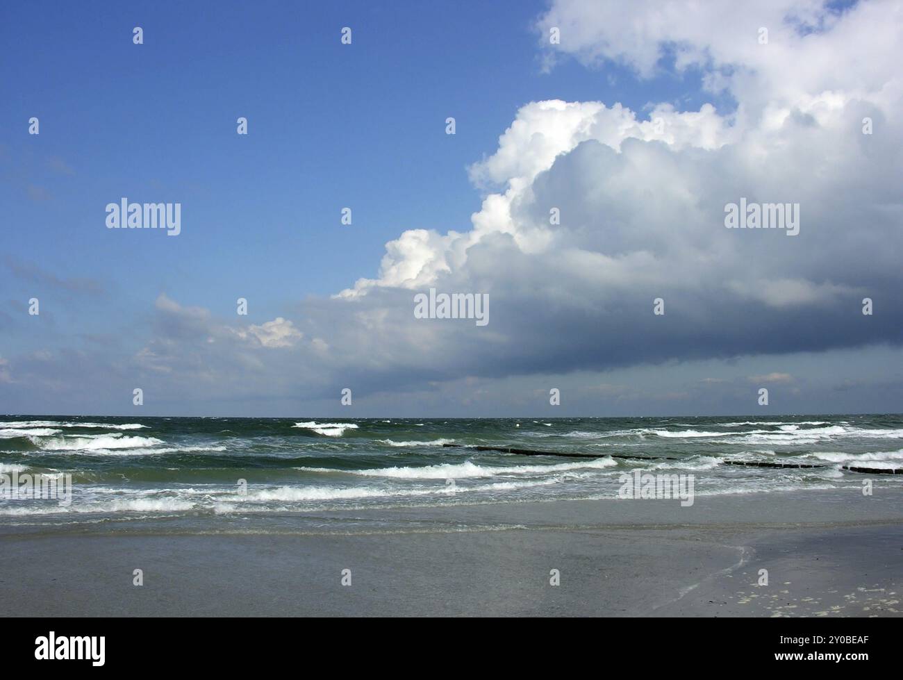 Beach on Hiddensee Stock Photo - Alamy