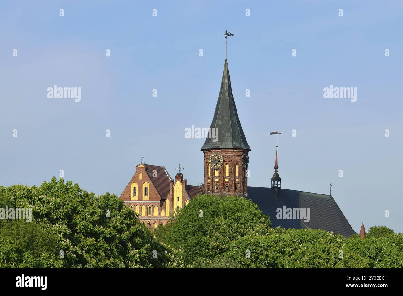 Koenigsberg Cathedral on the Kneiphof island. Kaliningrad (Koenigsberg ...