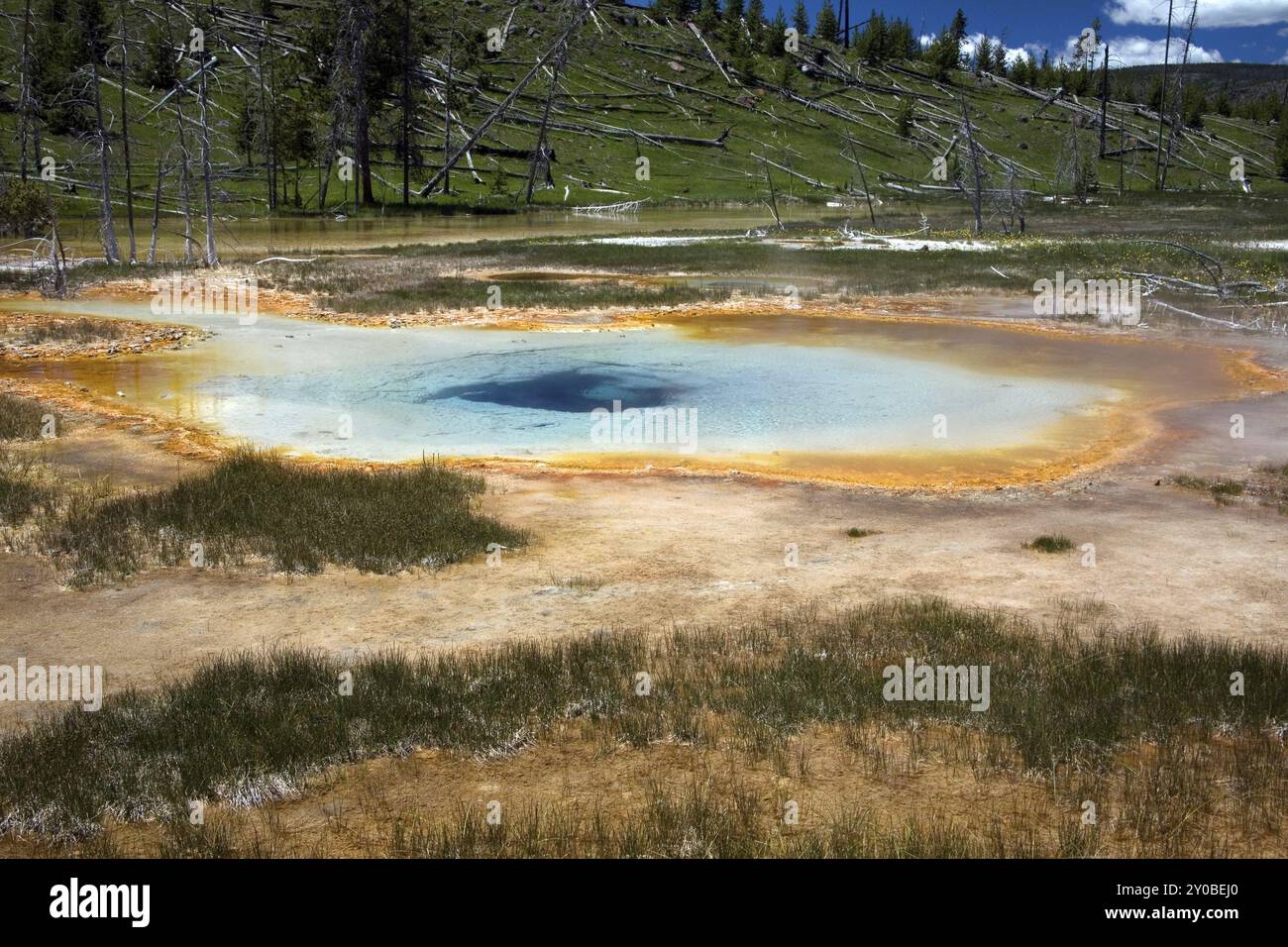 Spring lake waters bubbling hi-res stock photography and images - Alamy