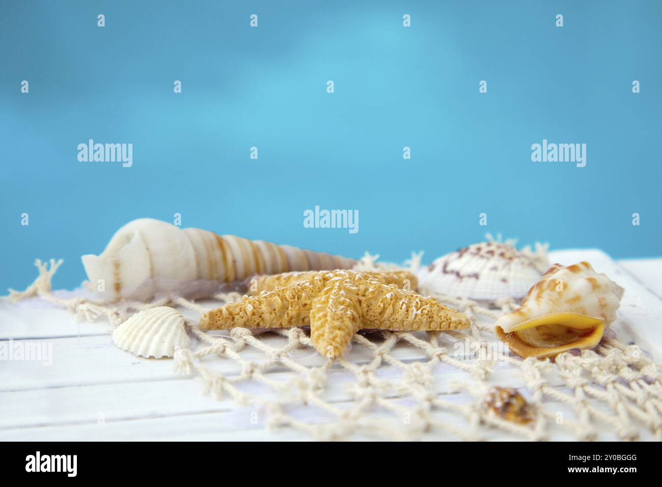 Fishing net with shells and starfish in front of blue water Stock Photo ...