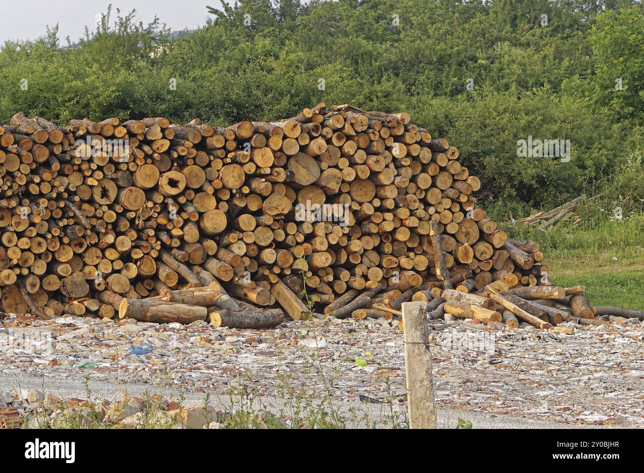Big pile fire wood hi-res stock photography and images - Alamy