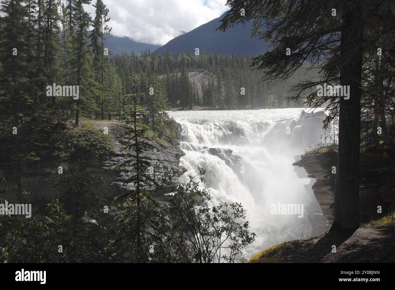 Athabasca falls jasper np alberta hi-res stock photography and images ...