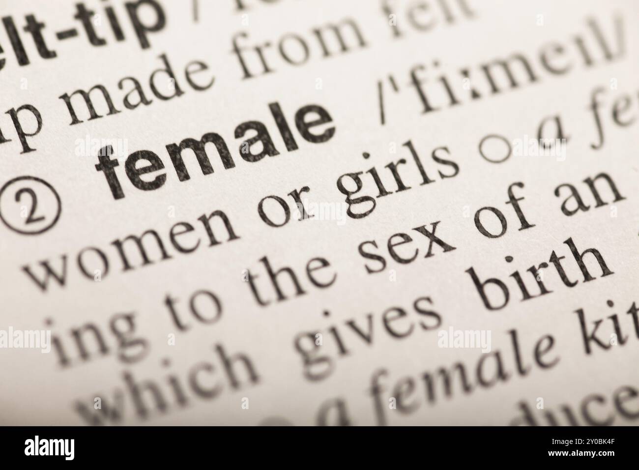 Female word in dictionary hi-res stock photography and images - Alamy