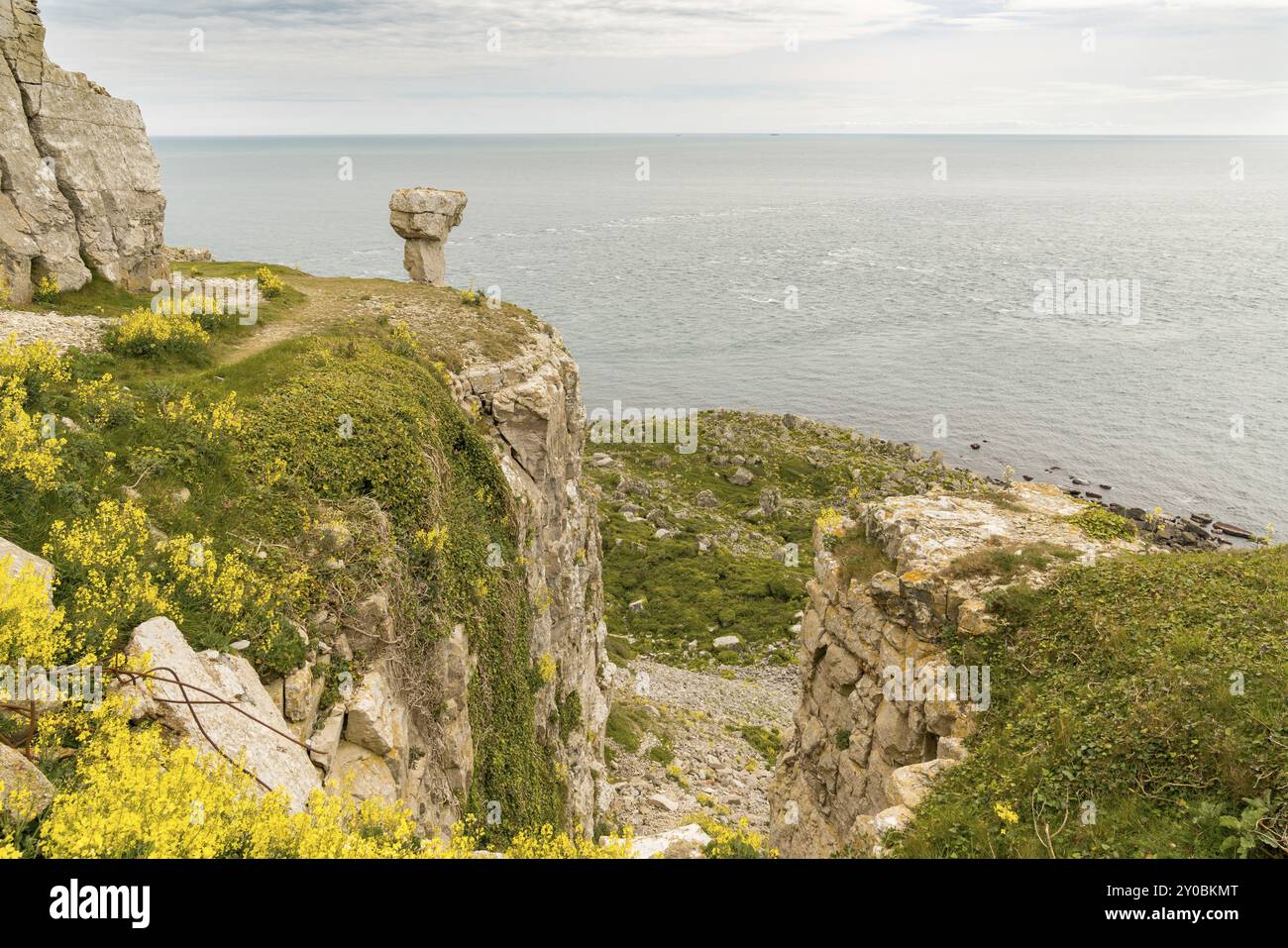 Quarry Ruins at St Aldhelm's Head, near Worth Matravers, Jurassic Coast ...