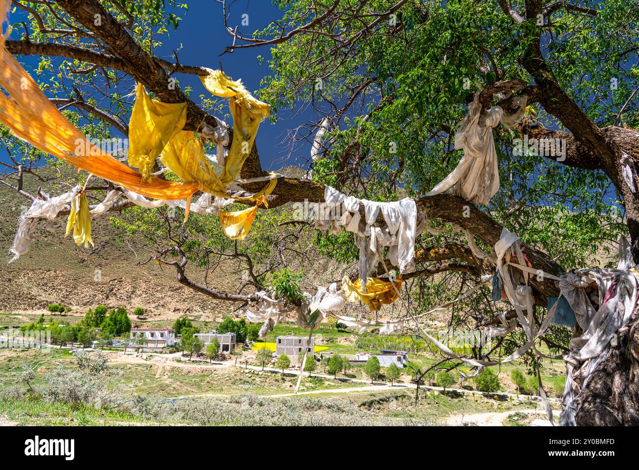 Nyima tang hi-res stock photography and images - Alamy