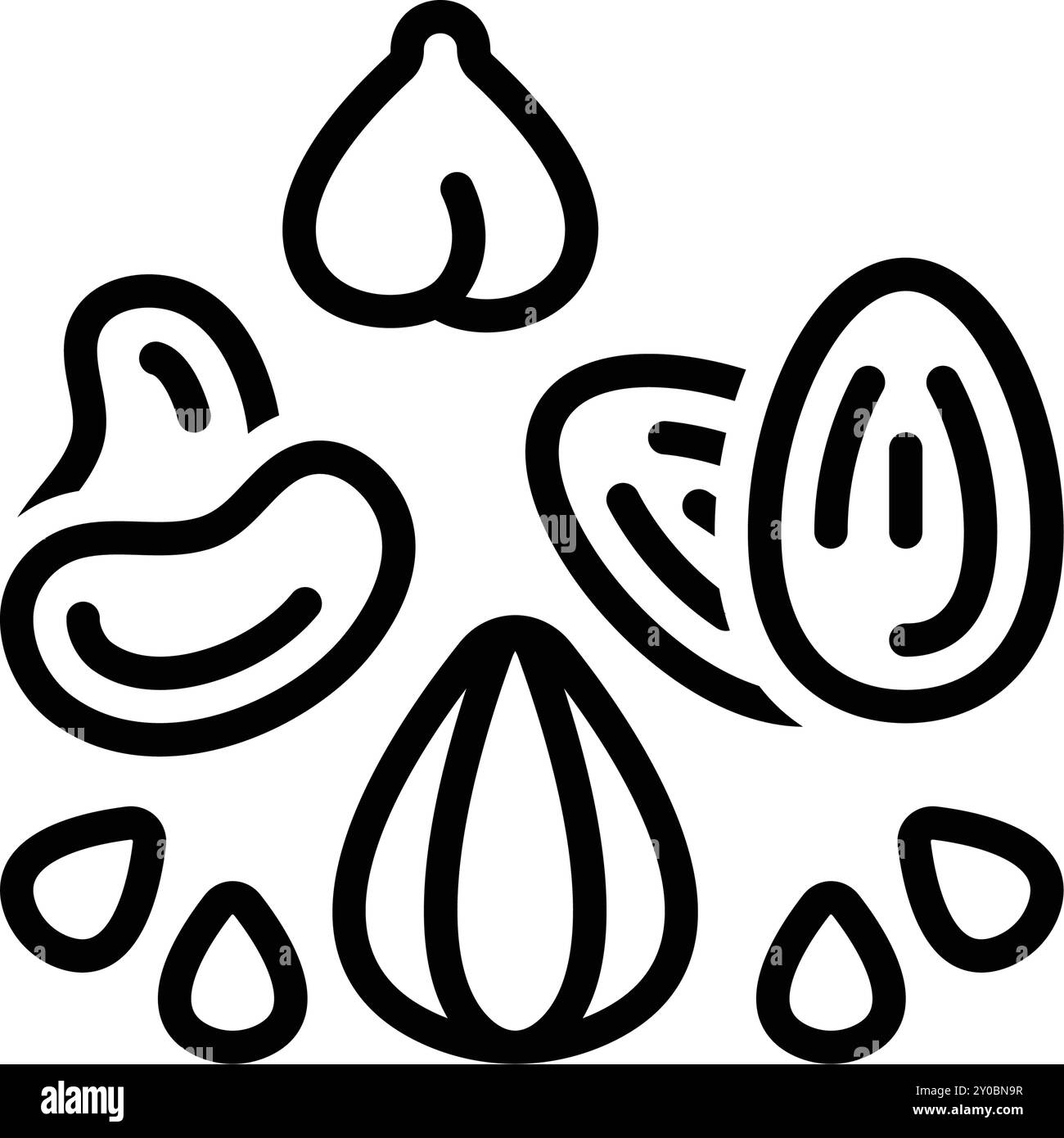 Icon for nuts, protein Stock Vector Image & Art - Alamy