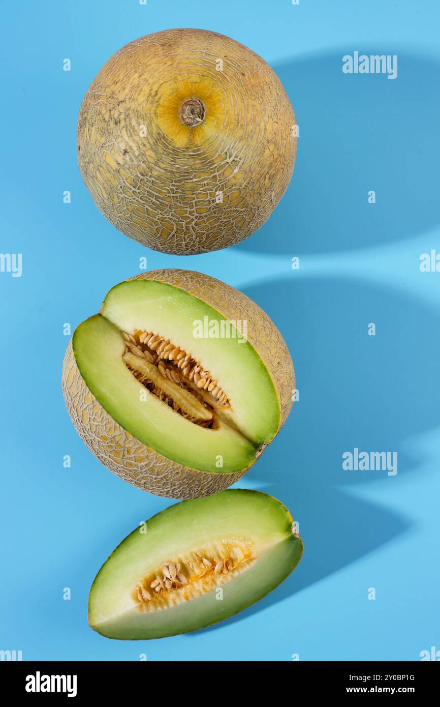 Top View Various Sliced and Shape Green Melon on Blue Background Stock ...