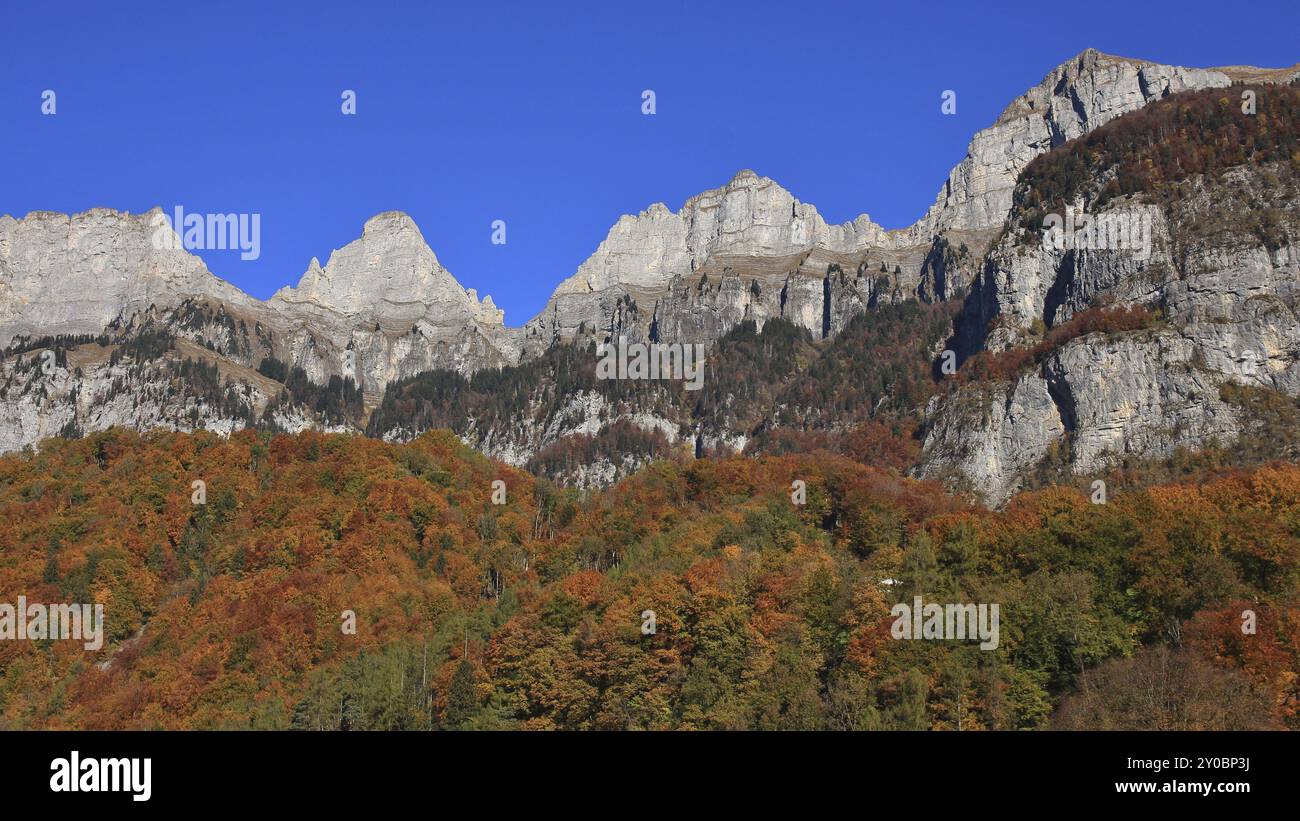 Multi colored autumn forest. Beautiful landscape in Switzerland ...