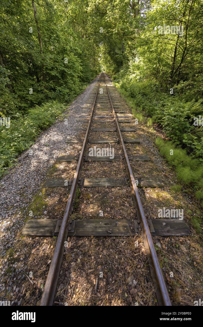 Looking down an old abandones railway line through a forest Stock Photo ...