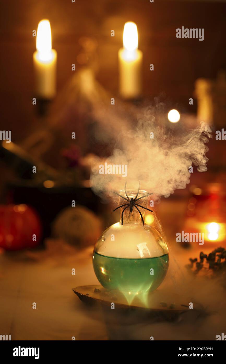 Halloween holiday concept. Witch lab with ingredients for poisons Stock ...