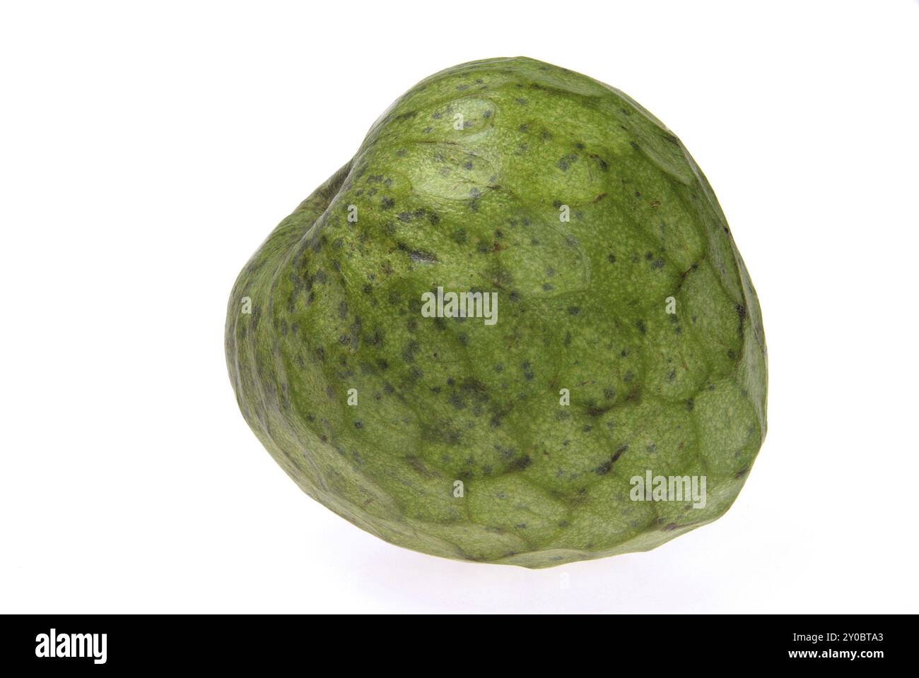 Cherimoya tree hi-res stock photography and images - Alamy