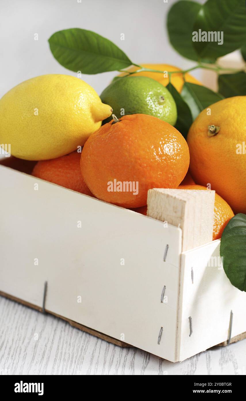 Assorted citrus fruits in boxes hi-res stock photography and images - Alamy