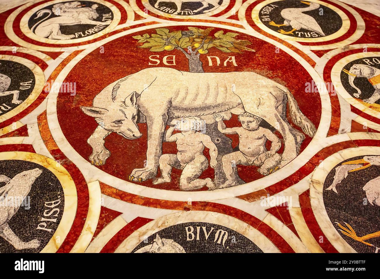 Siena Italy, Roman wolf with Remus and Romulus, founders of Rome marble ...