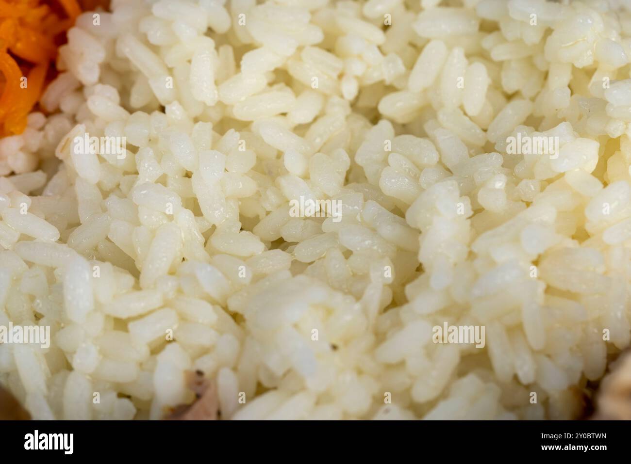 Boiled white rice with other food products, delicious rice porridge ...