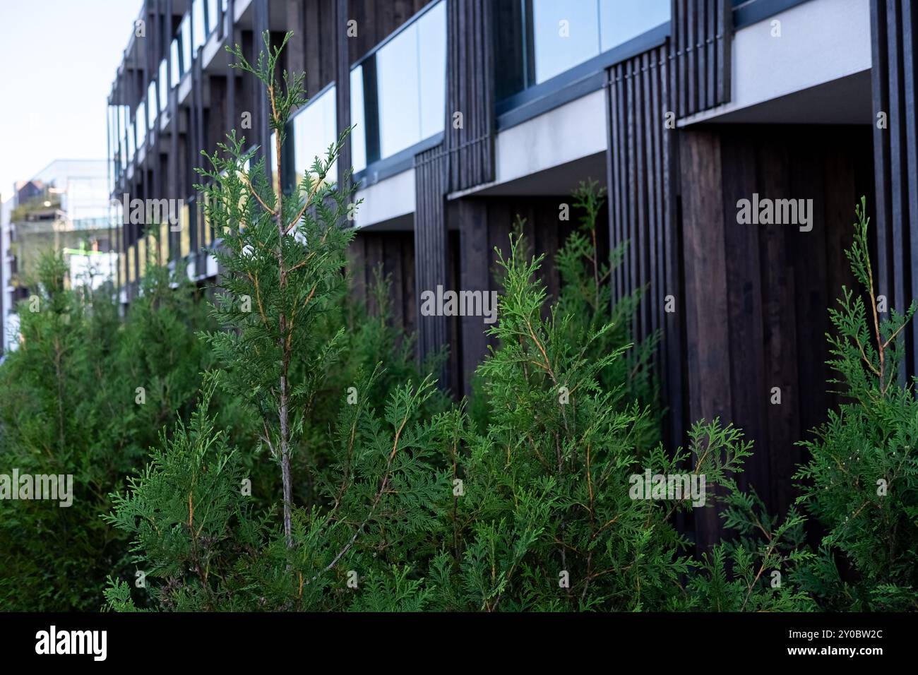 Modern apartment building green foreground hi-res stock photography and ...