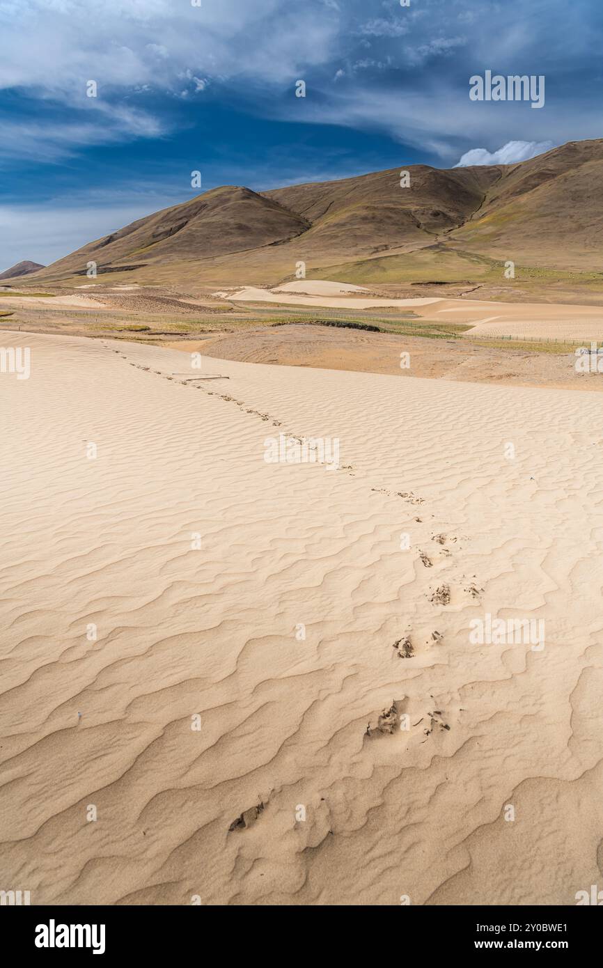Sand dunes in a desert area of the Tibetan Plateau in the Tibet ...