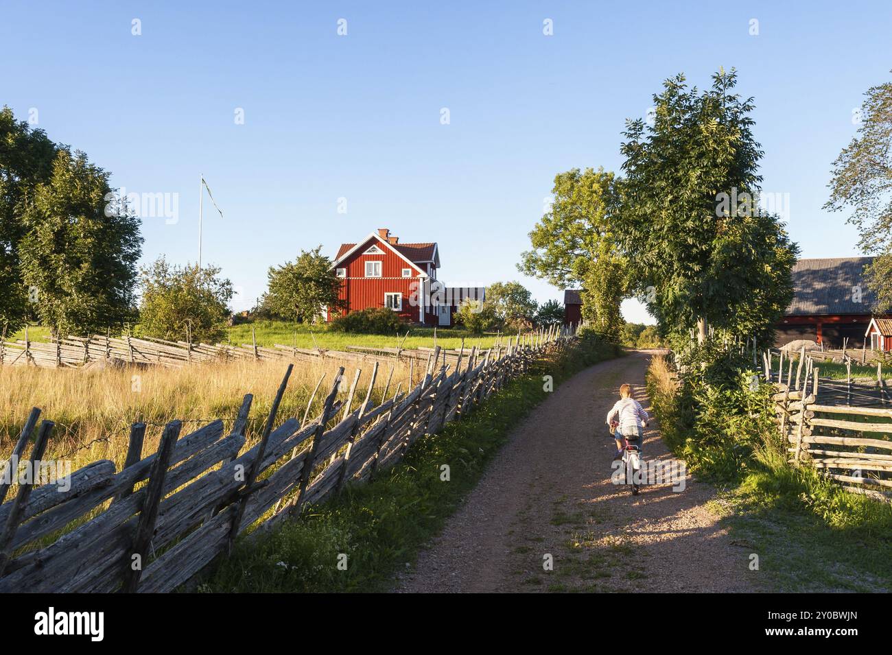Boy cycling along a country lane in rural Smaland, Sweden. In the ...