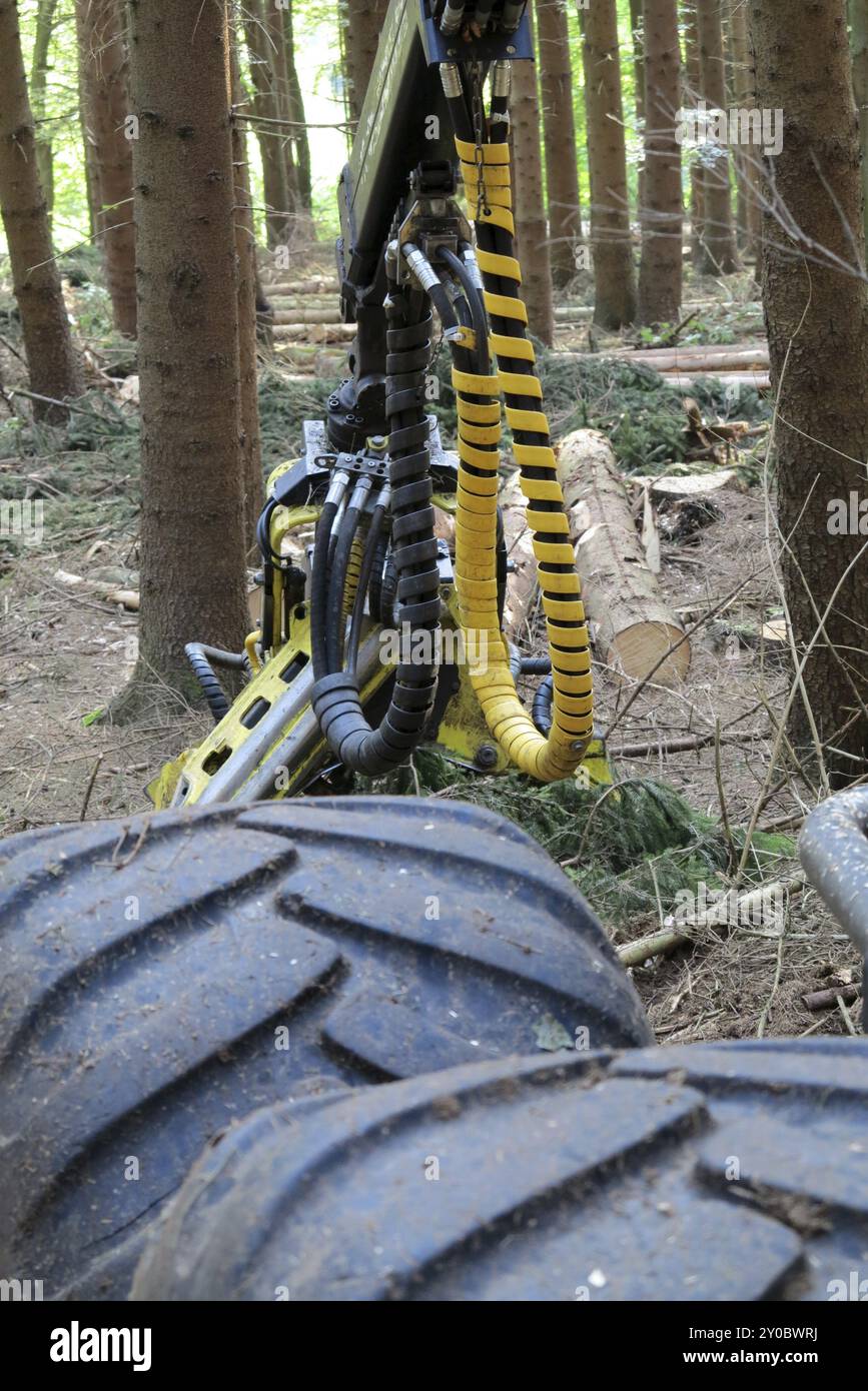 Timber harvester in the forest Stock Photo - Alamy
