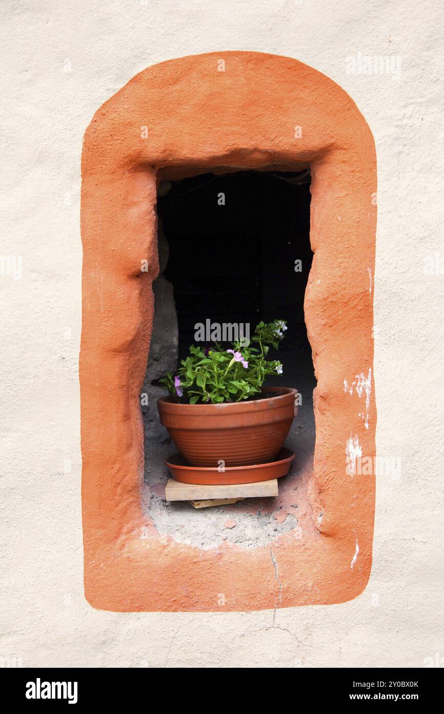 Flower pot in a historic window, Flower pot in a historic window Stock ...
