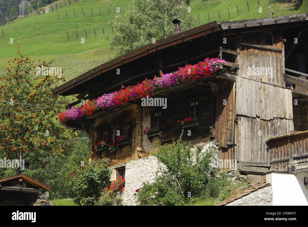 Alpine hut, chalet Stock Photo - Alamy