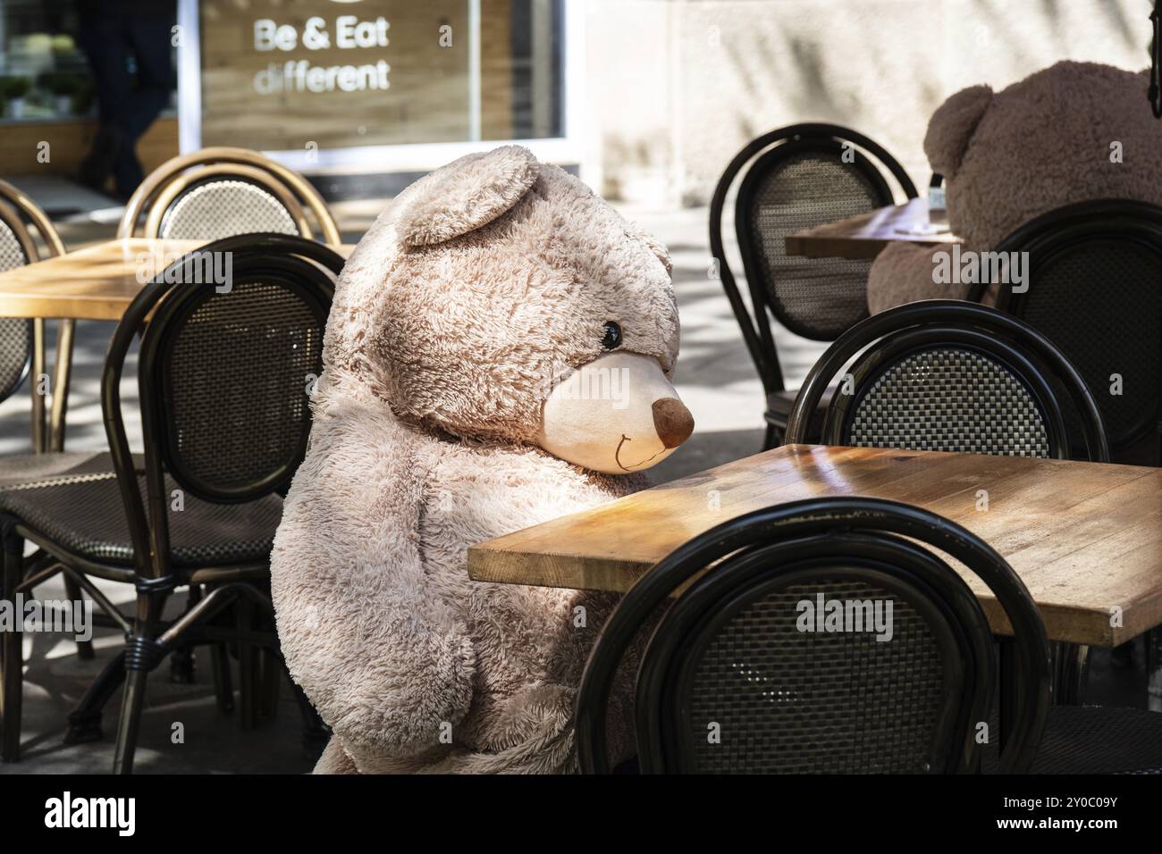 A teddy bear sits on a chair in a cafe in Barcelona, Spain, Europe ...