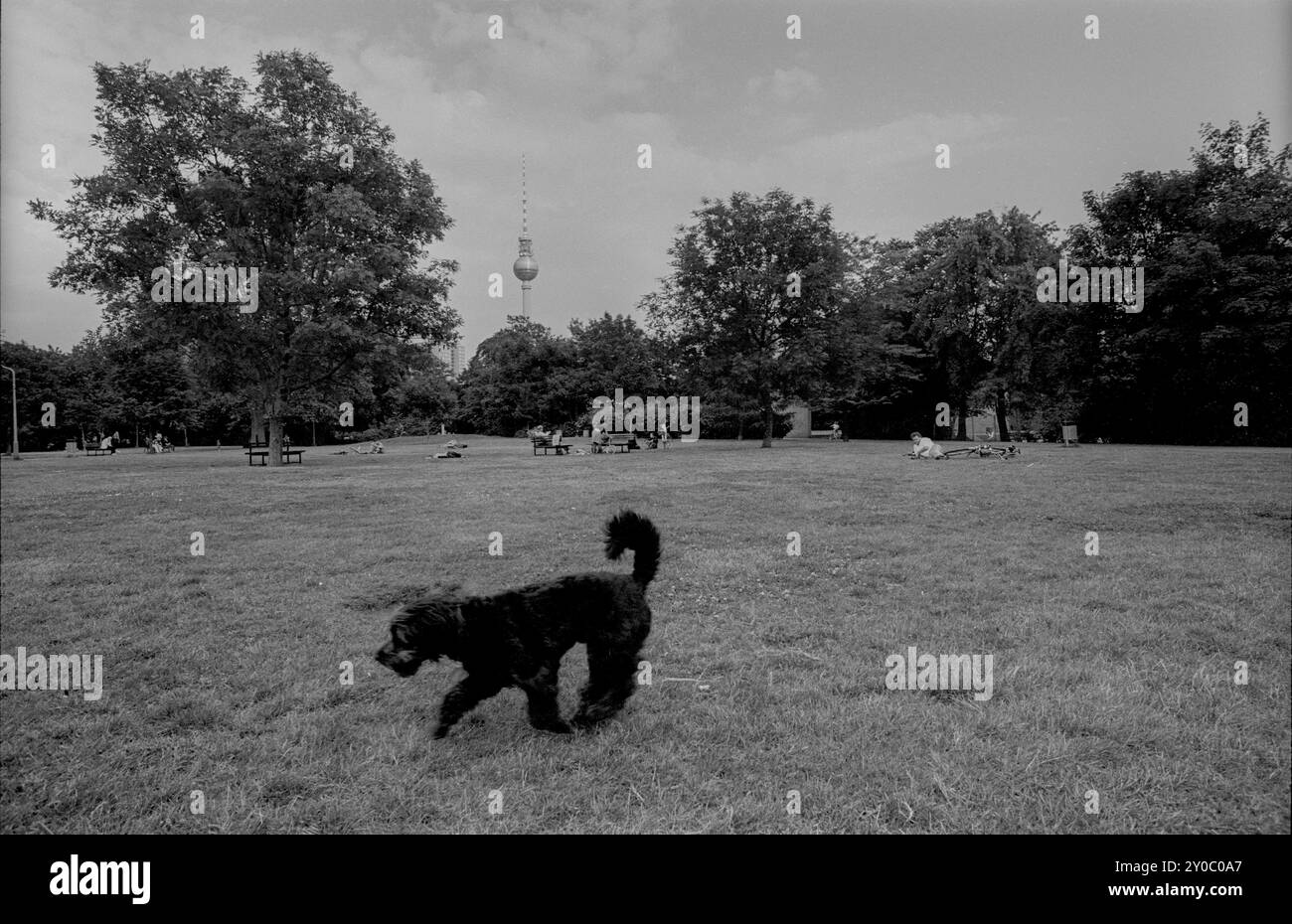 Germany, Berlin, 18.06.1991, Monbijou Park, TV tower, dog, Europe Stock ...