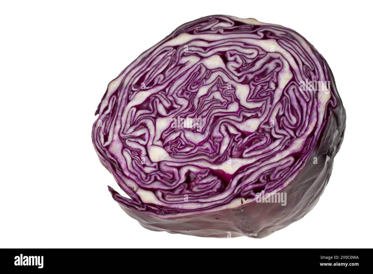 Single red cabbage isolated on white background Stock Photo - Alamy