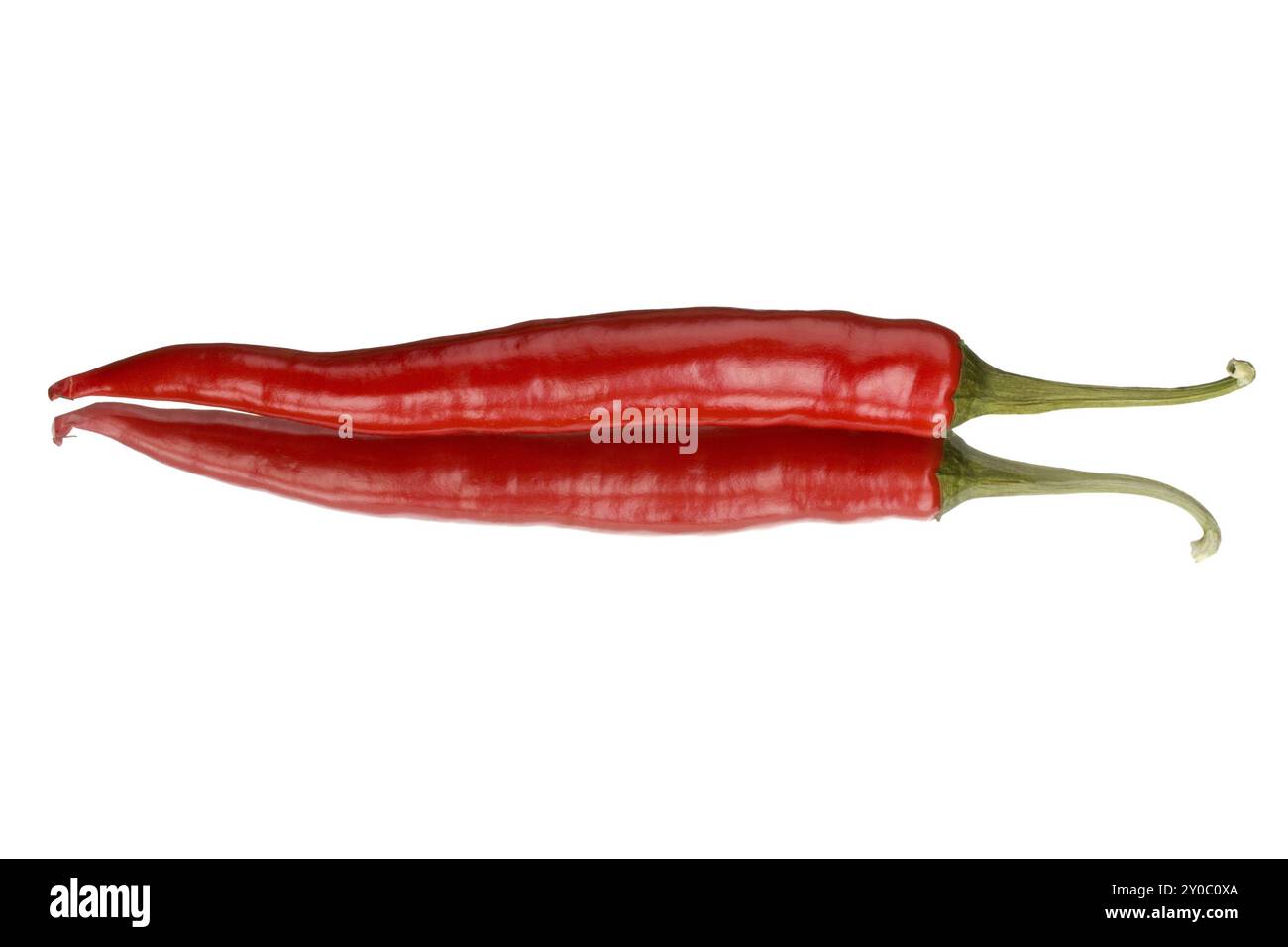 Single red pepper on a mirror isolated on a white background Stock ...
