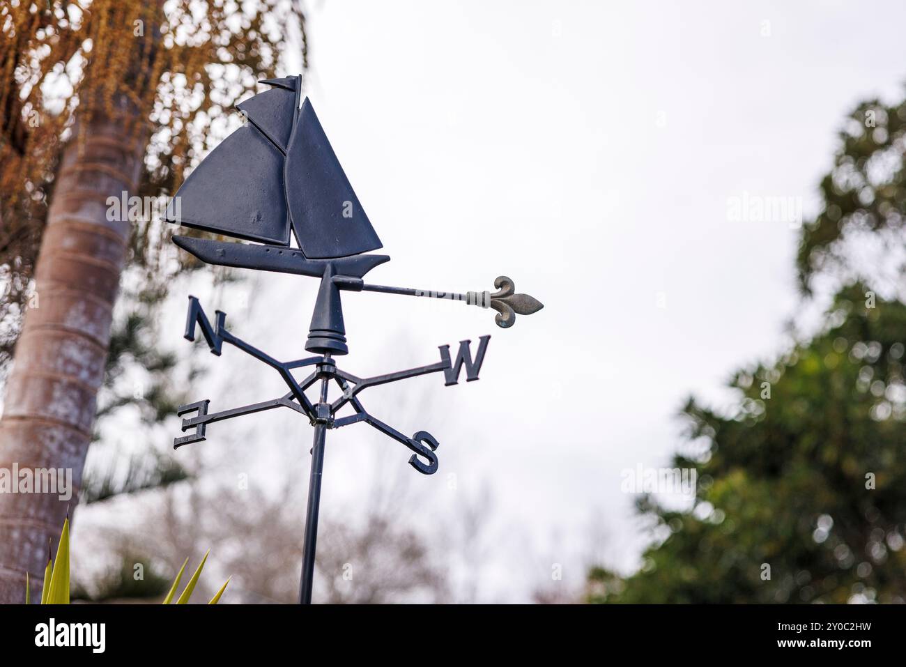 A shot with very shallow depth of field. The subject of the shot is a ...