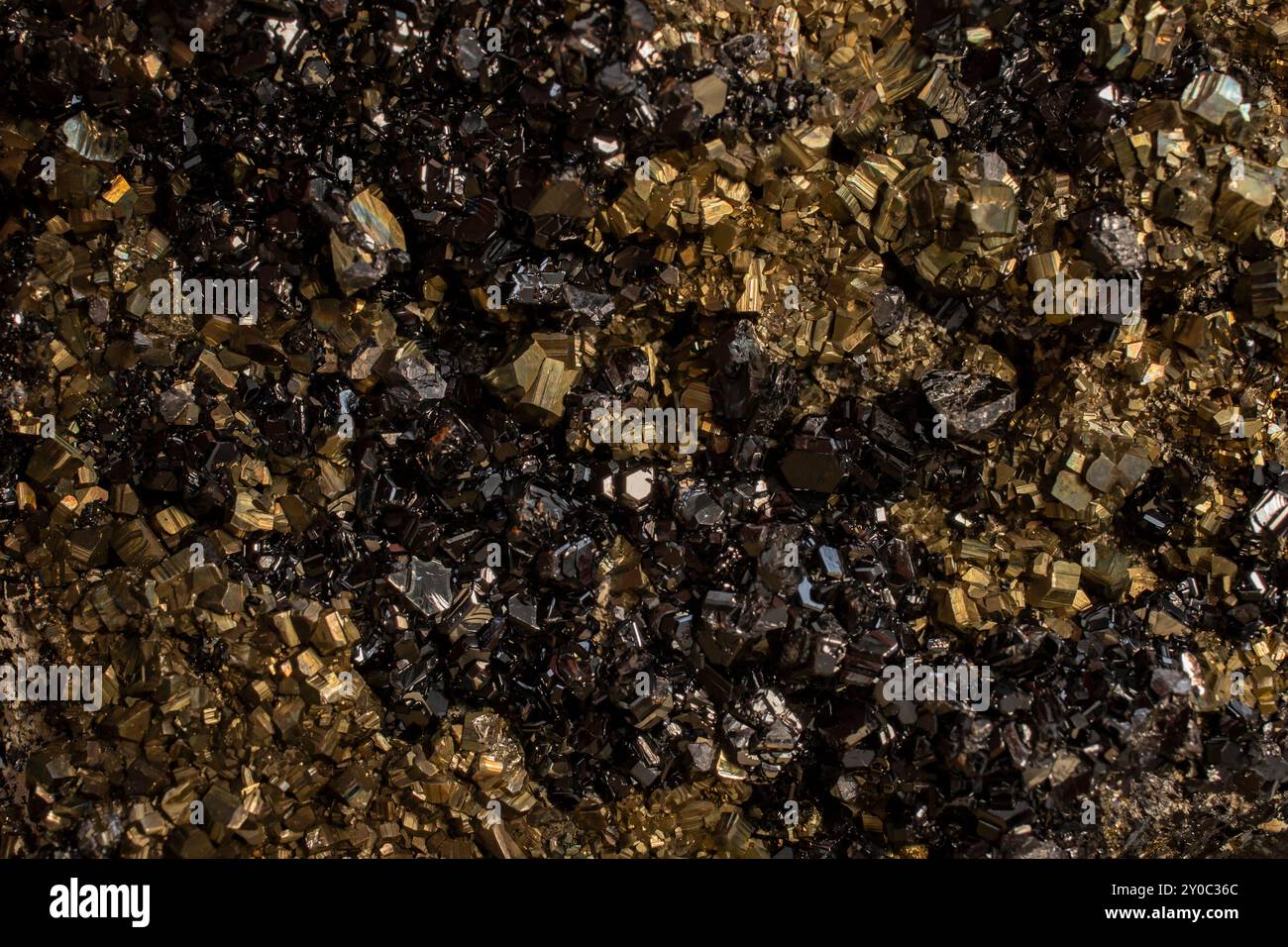 Pyrite mineral flower black and golden color soft focus close up ...