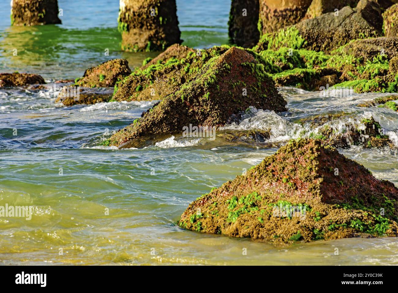 Sea water between stones and moss on Copacabana beach Stock Photo - Alamy