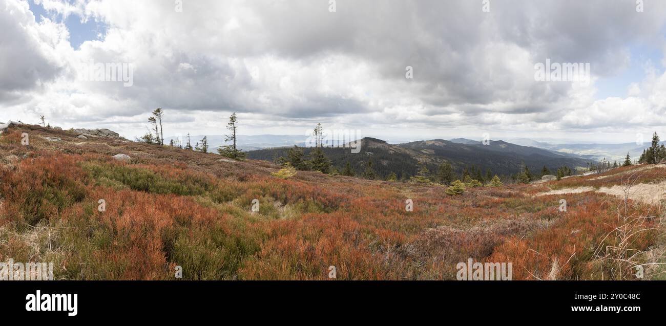 Autumn colours on the Grosser Arber, Fall colours on the Grosser Arber ...