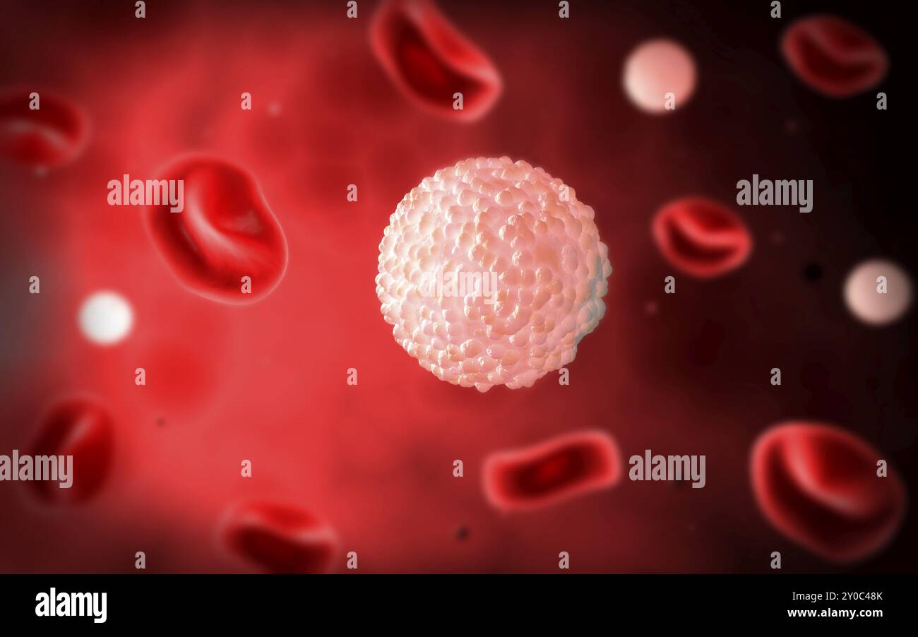 Microscopic view of white blood cells inside blood vessel Stock Photo ...